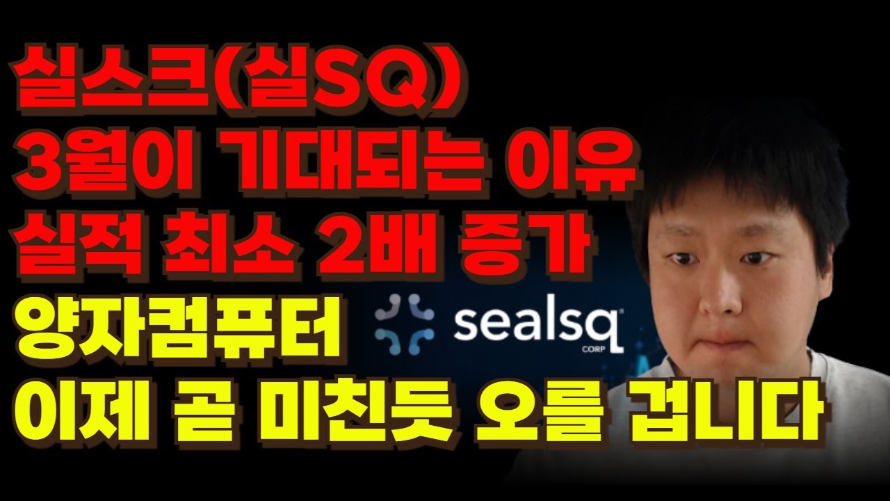 미국주식 실스크실sq가 3월이 기대되는 이유 실적 최소 2배 증가 양자컴퓨터 이제 곧 미친듯 오를겁니다 아이온큐퀀텀컴퓨팅디웨이브퀀텀리게티컴퓨팅 Youtube