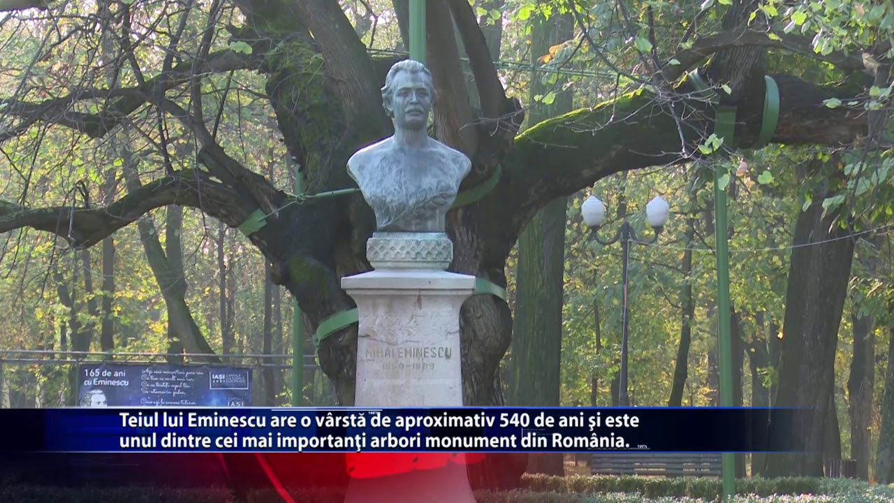 365 Pentru Iasi Teiul lui Eminescu - YouTube