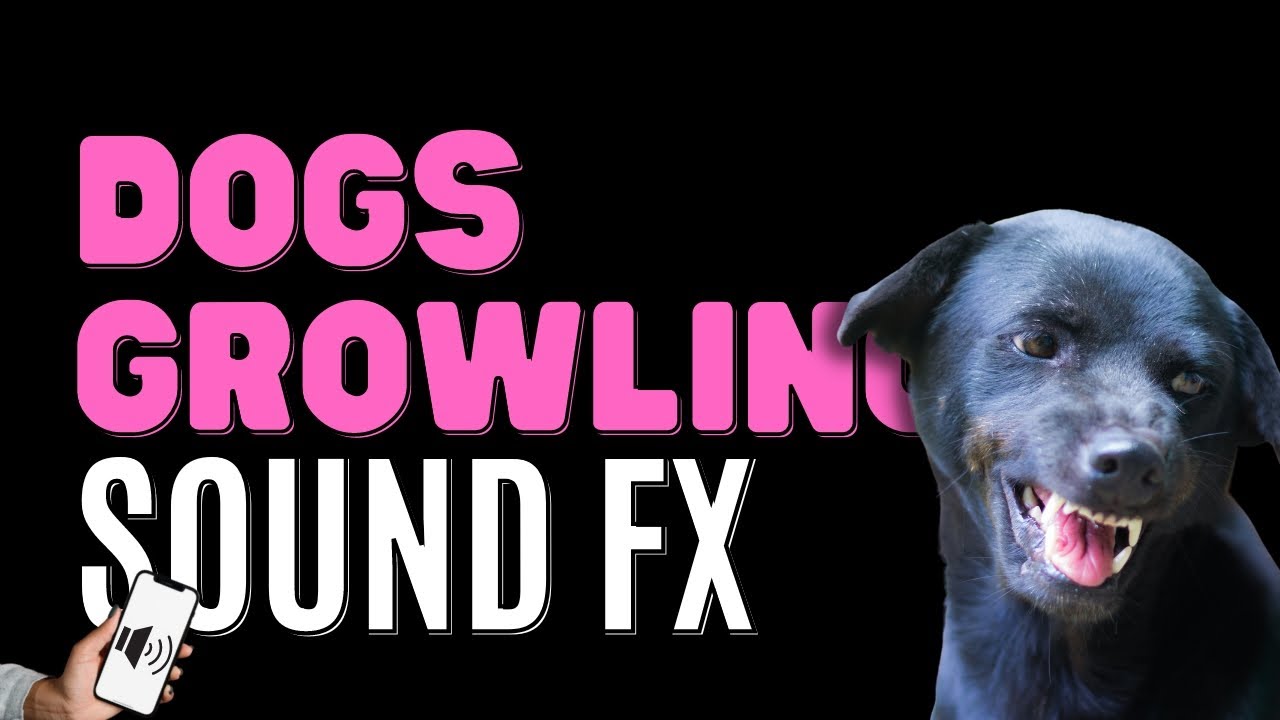 Dogs Growling | Make your Dog Growl with these Sound Effects FX - YouTube