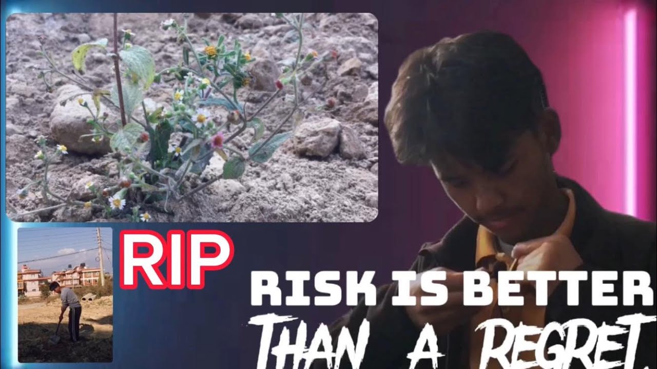 Based on my life , " Take an action before regret takes " || Rest In ...