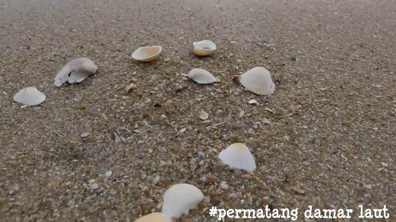 Permatang Damar Laut, Penang - YouTube