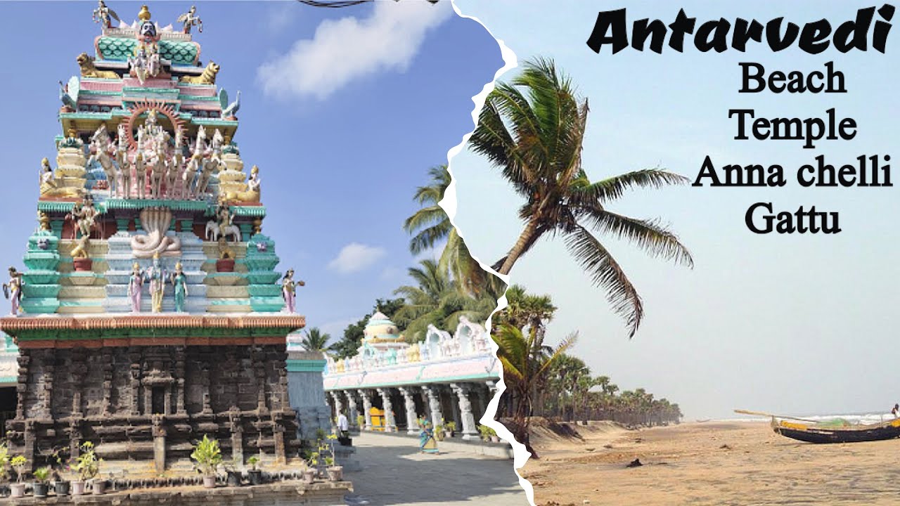 Antarvedi - beach, temple and Anna chelli gattu - place where Godavari ...