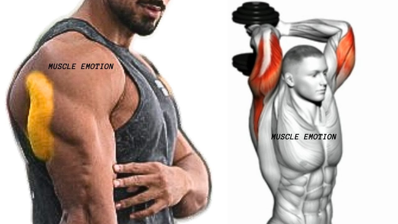 TOP 3 LONG HEAD TRICEPS WORKOUT WITH DUMBBELLS BARBELL AND CABLE - YouTube