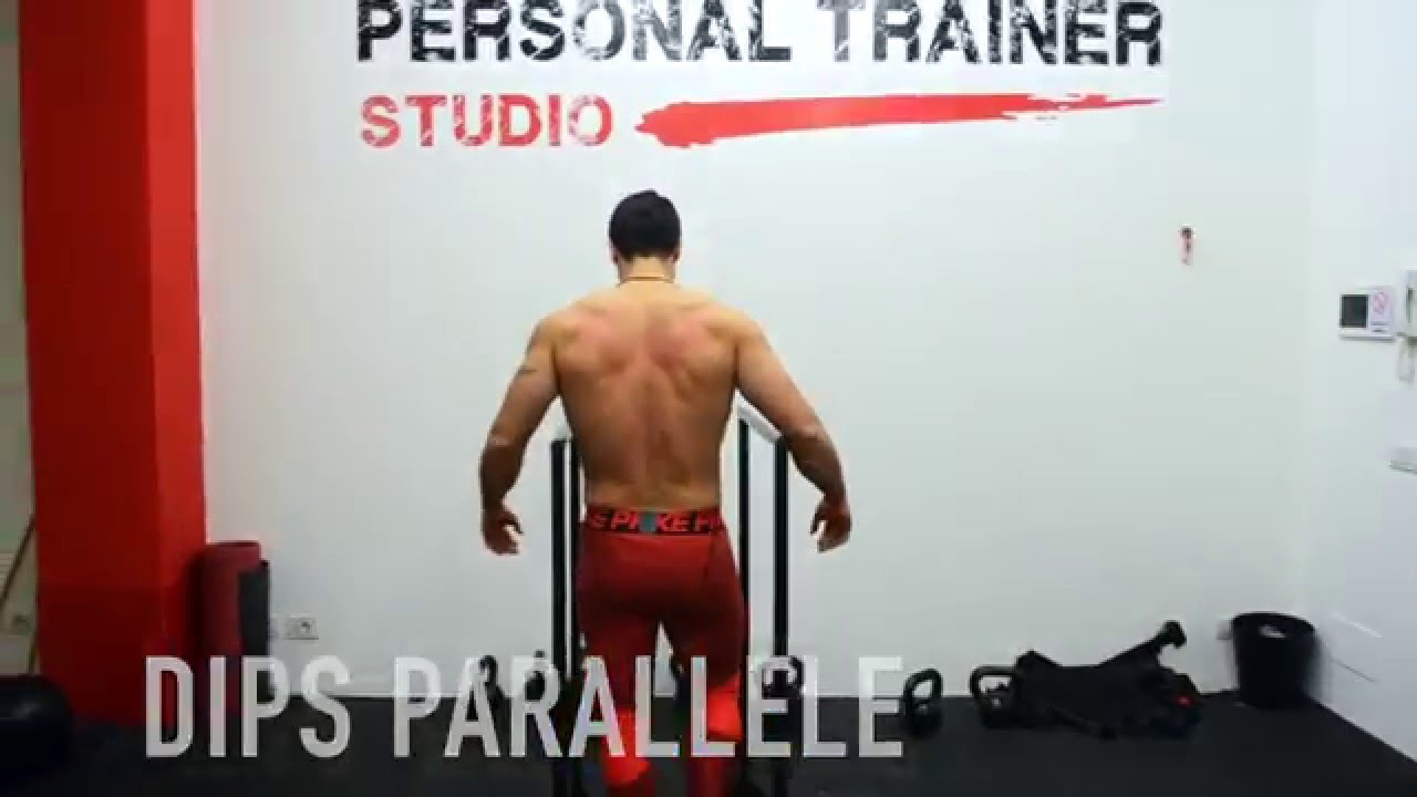 Dips per Tricipiti alle Parallele - DaveGamba.com - YouTube