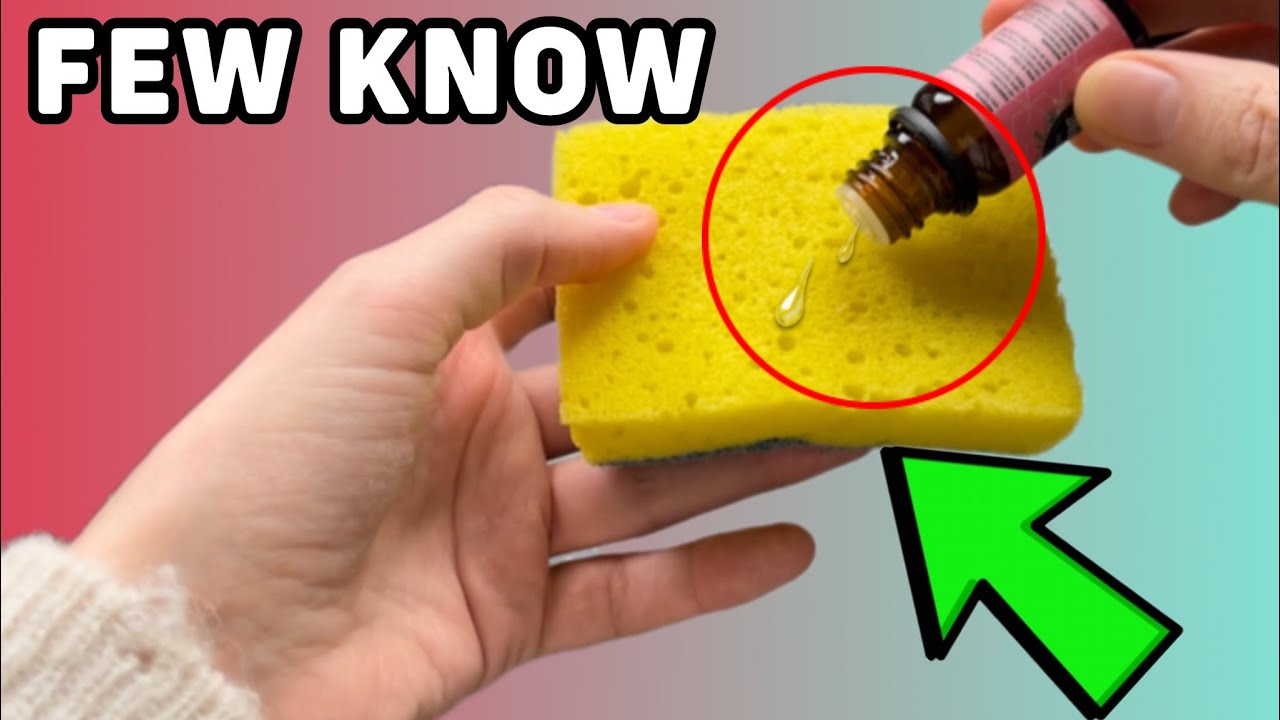 Apply 2 Drops Of Oil On A Kitchen Sponge! You Won’t Believe How ...