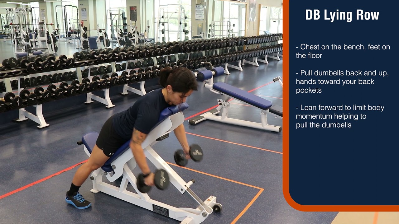 Exercise How-To: Dumbbell Lying Row - YouTube