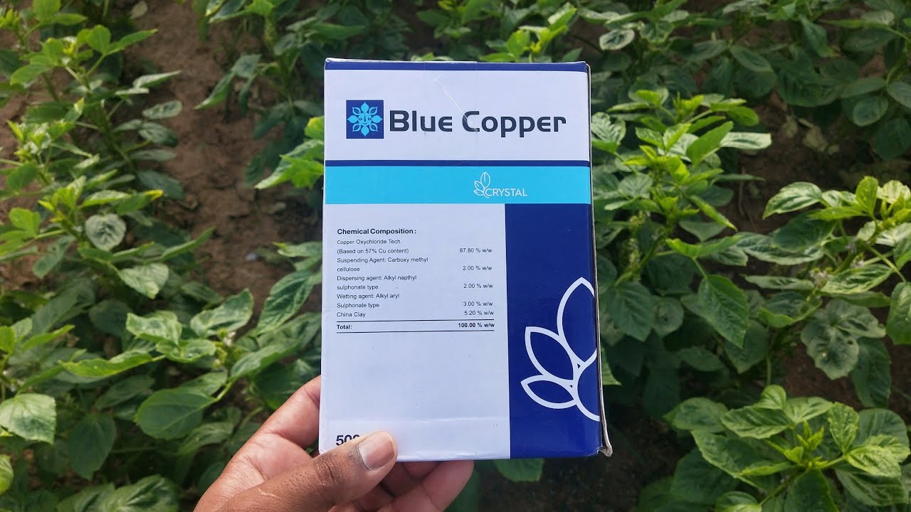 Blue copper uses in hindi | Copper oxychloride uses in hindi - YouTube
