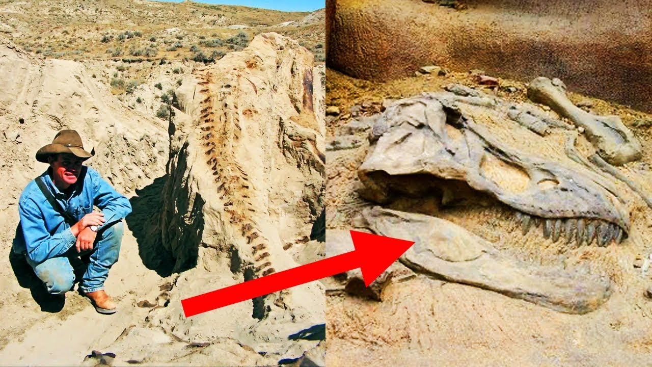 A 110 Million Year Old Dinosaur Mummy Has Just Been Found! What Have ...