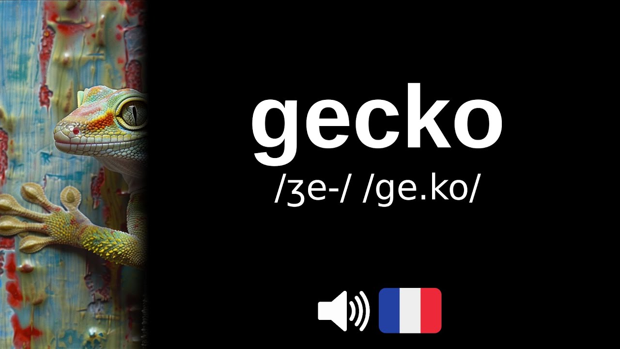 Comment bien prononcer 'gecko' ? - YouTube