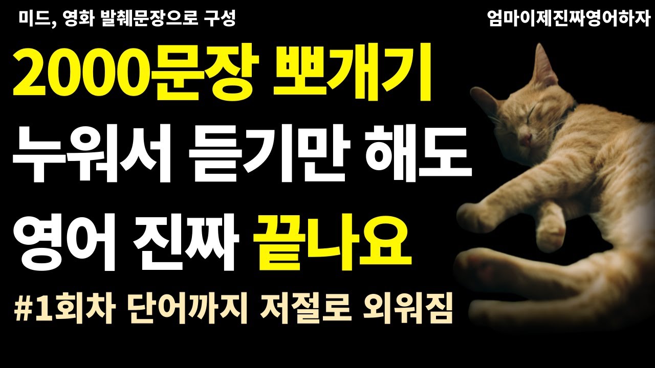 휴식과 같은 생활영어 2000문장 프로젝트 1 자면서 들으세요 미드 영어 편하고 쉽게 하세요 자연스레 영어가 술술 더 나이들기 전에 해야하는 것