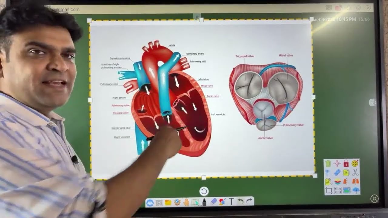 Echocardiography 2D Echo Report drniteshraj Interpretation YouTube echocardiography-2d-echo-report-drniteshraj-interpretation-youtube