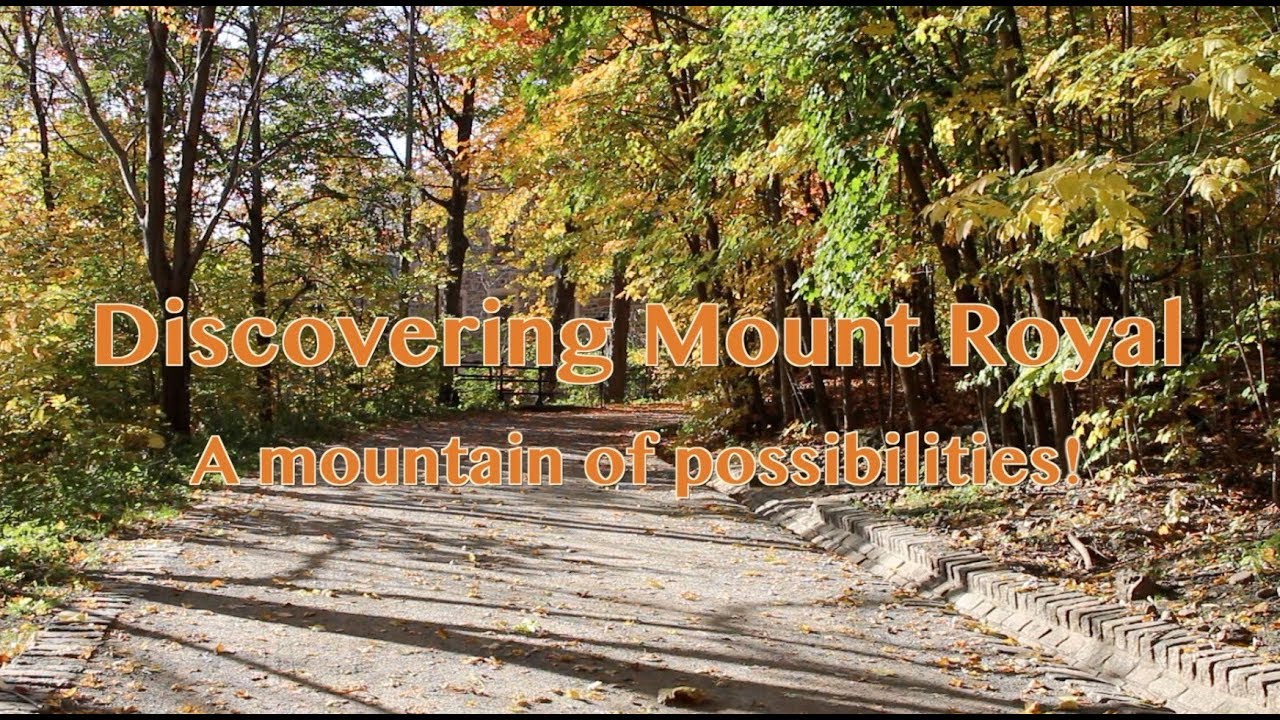 Mount Royal Explainer Video - YouTube