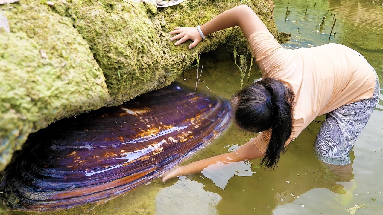 Harvest a large toothless clam, open its pearl inside, pure white and ...