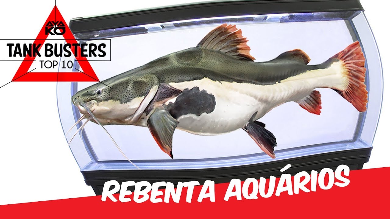 TOP 10 - TANK BUSTERS - YouTube