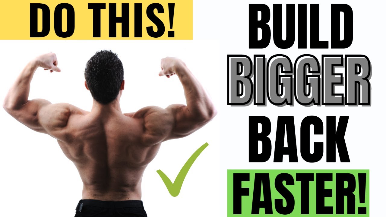 5 Best Exercises to Build a Stronger and Bigger Back FAST - YouTube