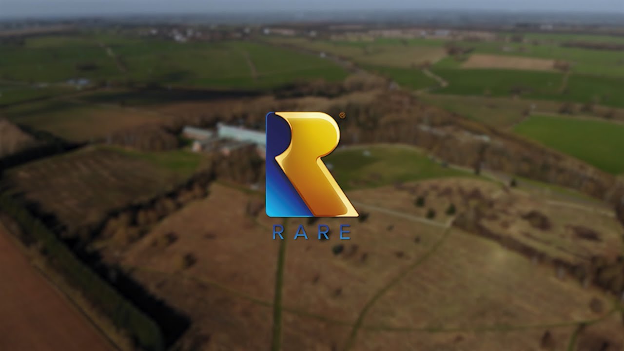 Rare Ltd Logo Rare Brand New Limited Edition Berluti Logo Tee T Shirt