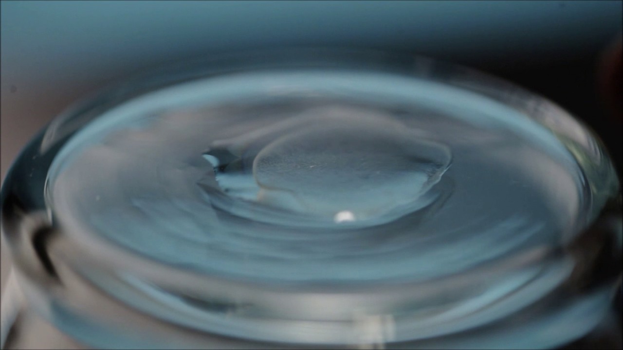 ORAL SCIENCE: FluoriMax || Hydrophilic Varnish - Vernis hydrophile ...