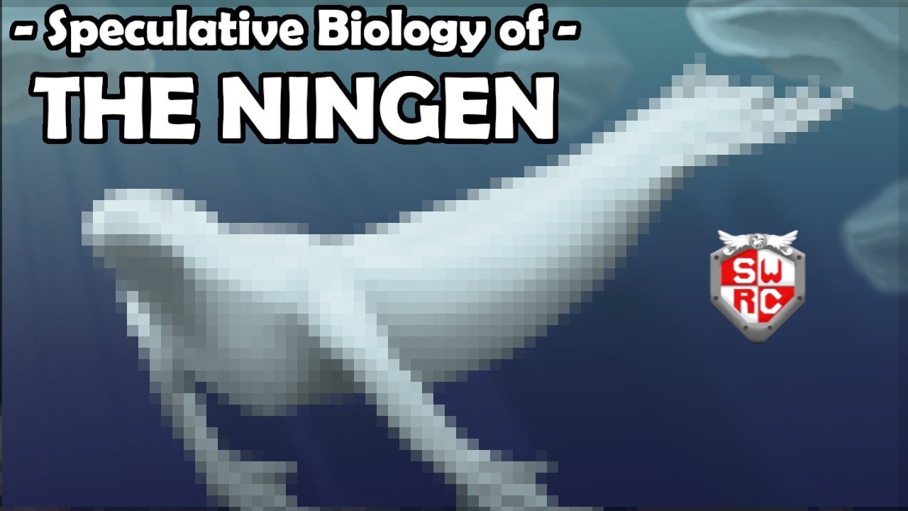 Speculative Biology of the Ningen 🐋 - YouTube