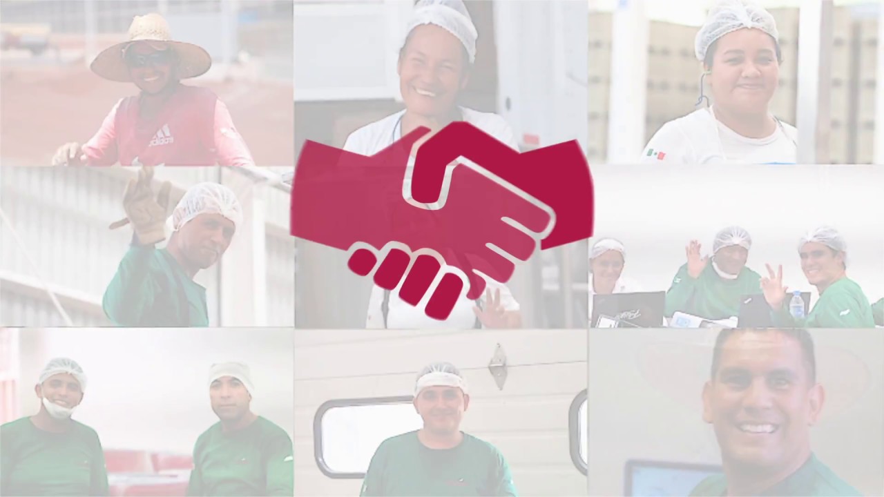 Fruxo - Video - Aseptic pulps, purees and fruit concentrates - YouTube