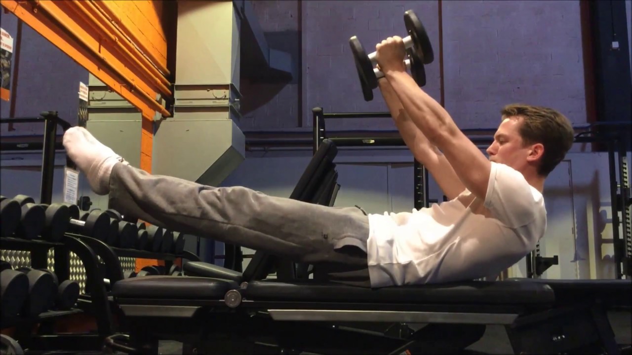 Maltese bench press + read how to - YouTube