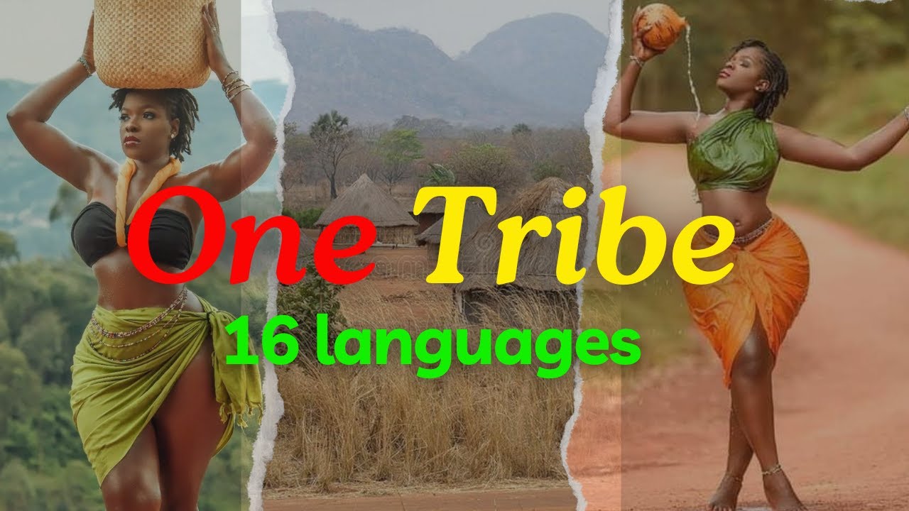 How is the Luhya Tribe divided into 16 sub-tribes: Exploring the ...