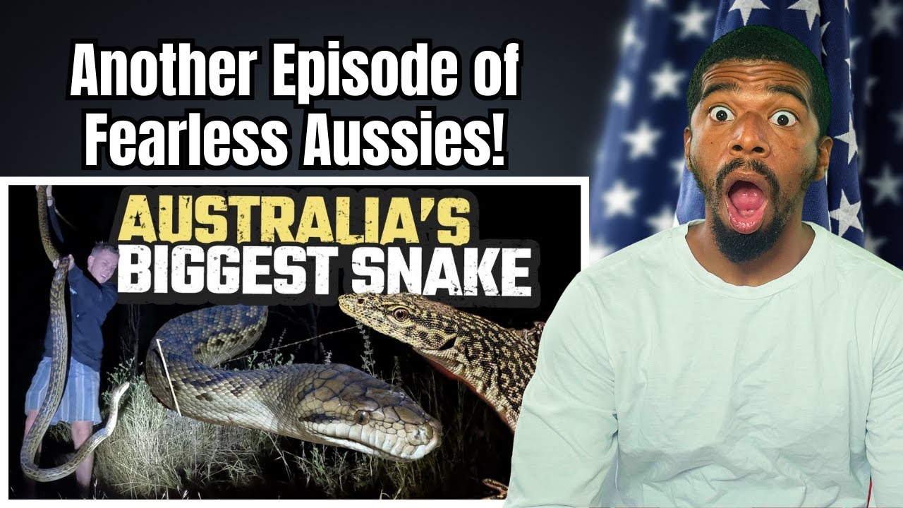 FINDING AUSTRALIA'S BIGGEST SNAKE & RARE LIZARDS | AMERICAN REACTS ...