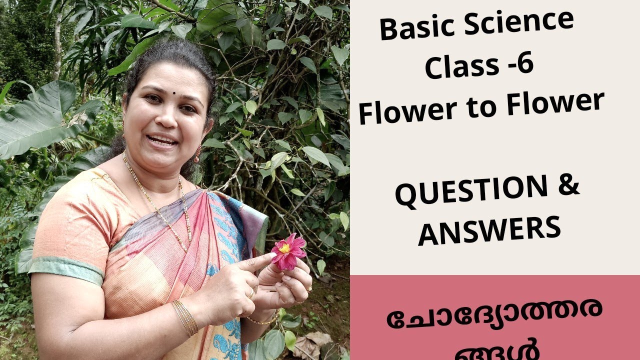 Basic Science /class 6/unit 3/flower to Flower /question & answers/ ചോദ്യോത്തരങ്ങൾ - YouTube