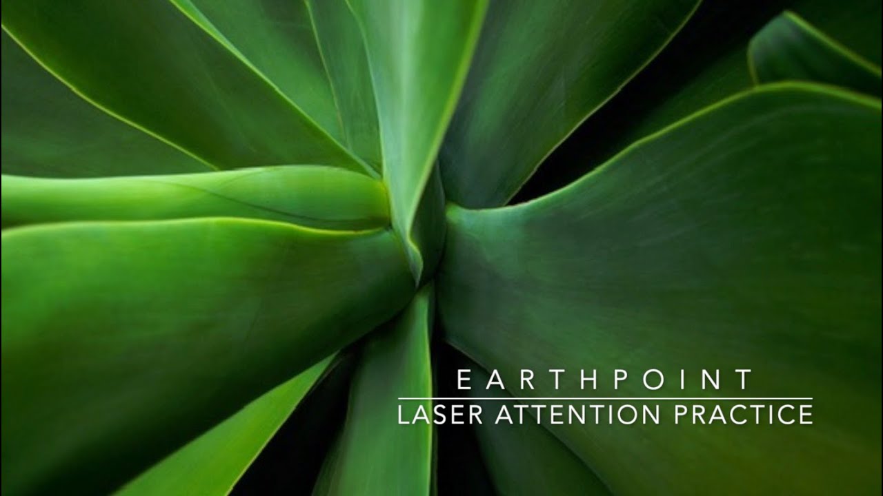 Laser Attention Practise ... grounding with your EarthPoint - YouTube