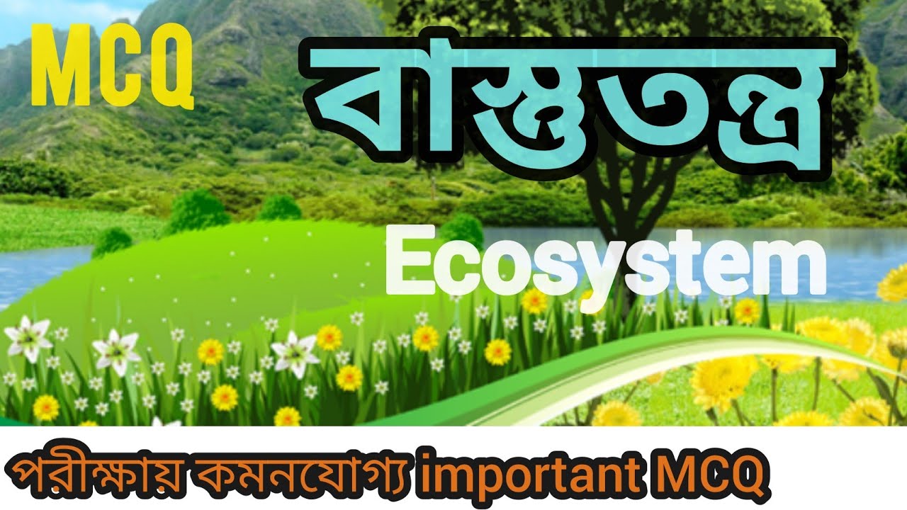 ecosystem | ecosystem question & answer | components of ecosystem ...