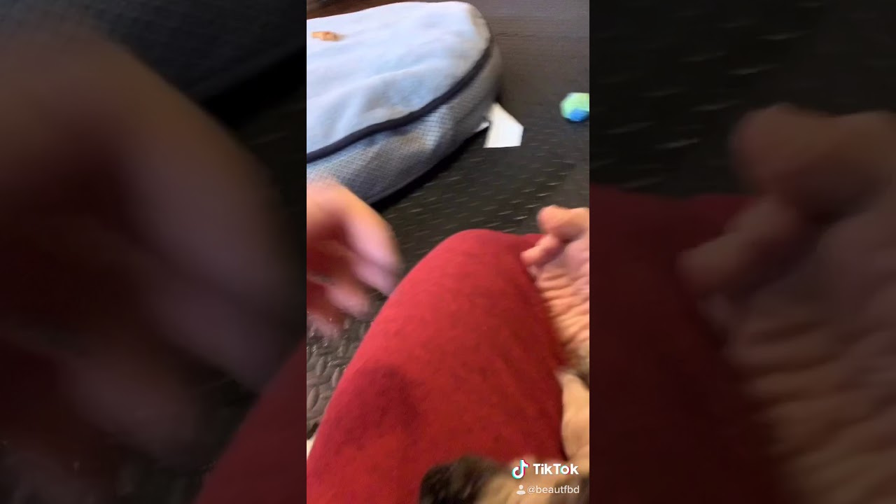Cuddle Jump Youtube