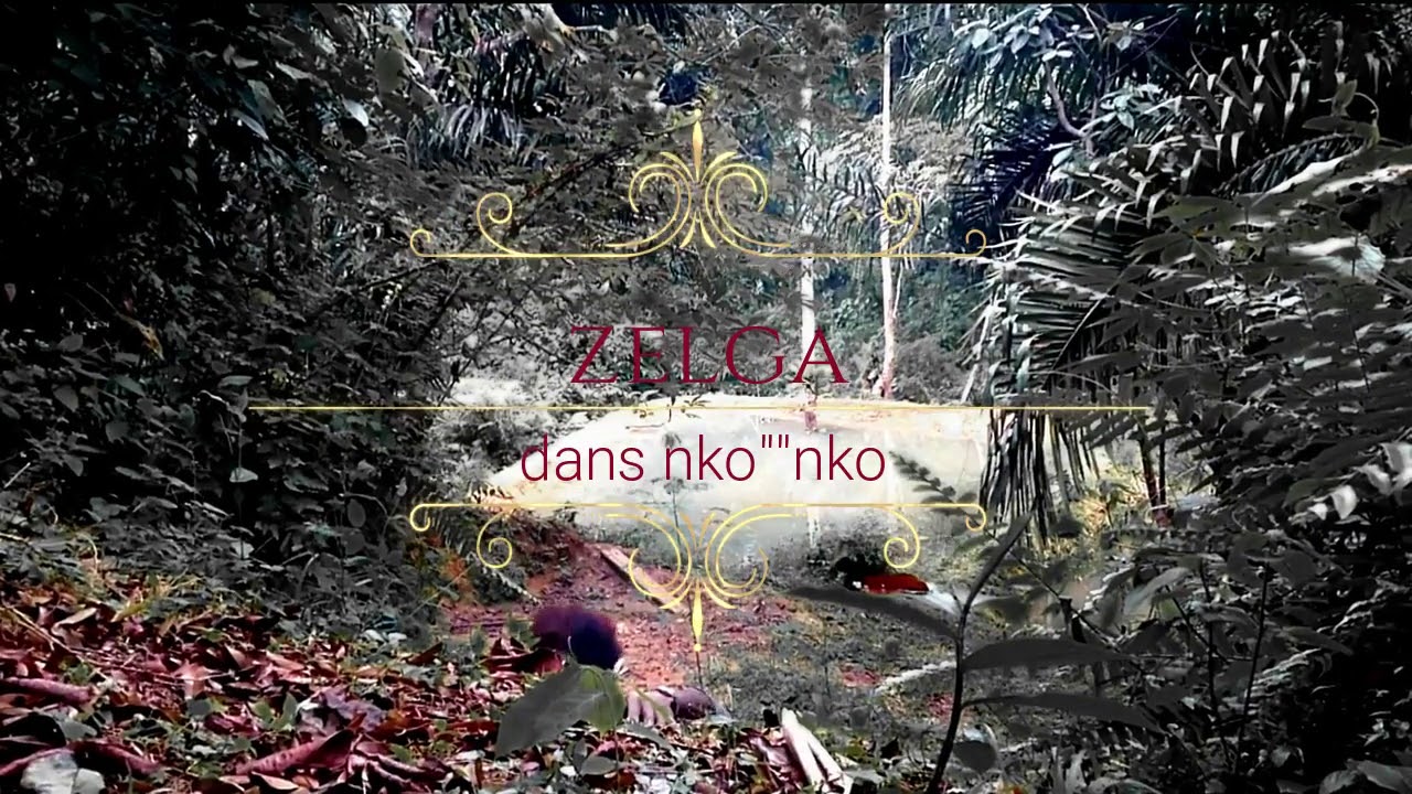 ZELGA dans Nkô nkô - YouTube
