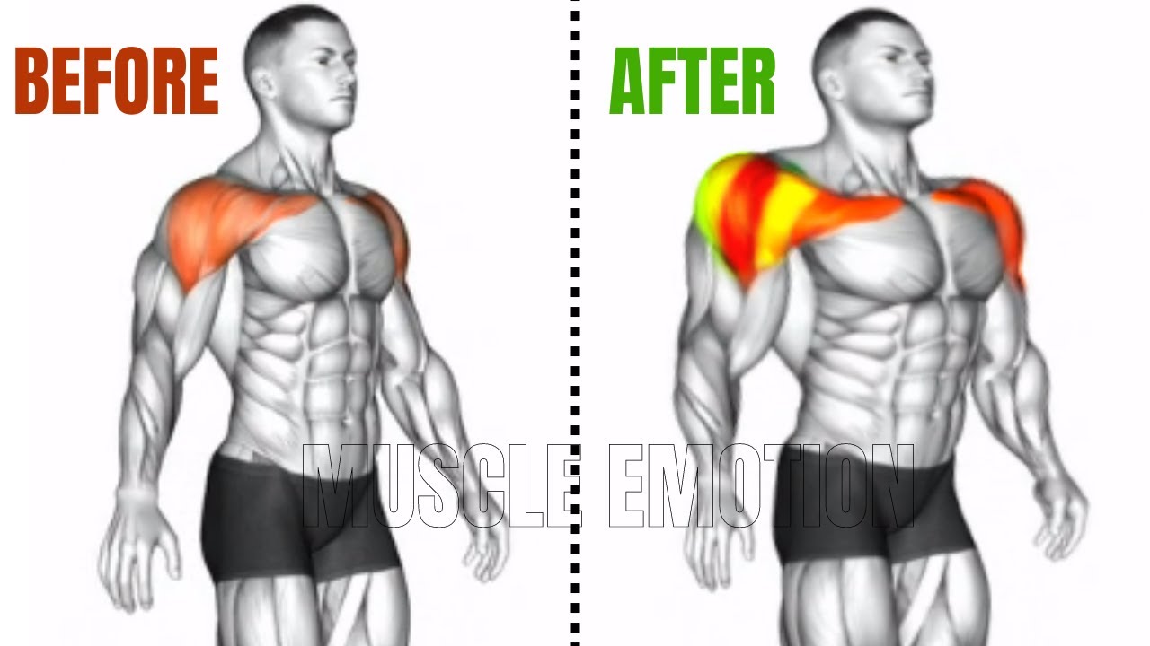 5 BEST SHOULDERS WORKOUT WITH MACHINE BARBELL MACHINE AND CABLE AT GYM ...