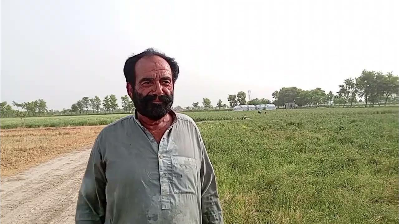 new saraiki Velog video foryoupages - YouTube