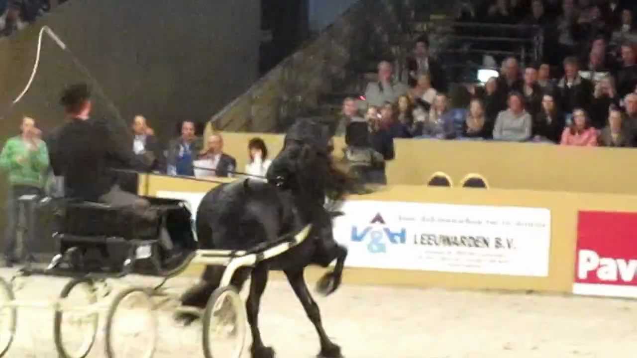 Jasper 366 zápřah/Stallion show Leeuwarden 2012 - YouTube