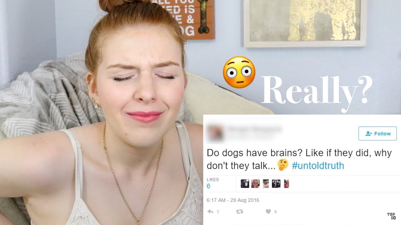 Top 10 Dumbest Tweets [Reaction] - YouTube