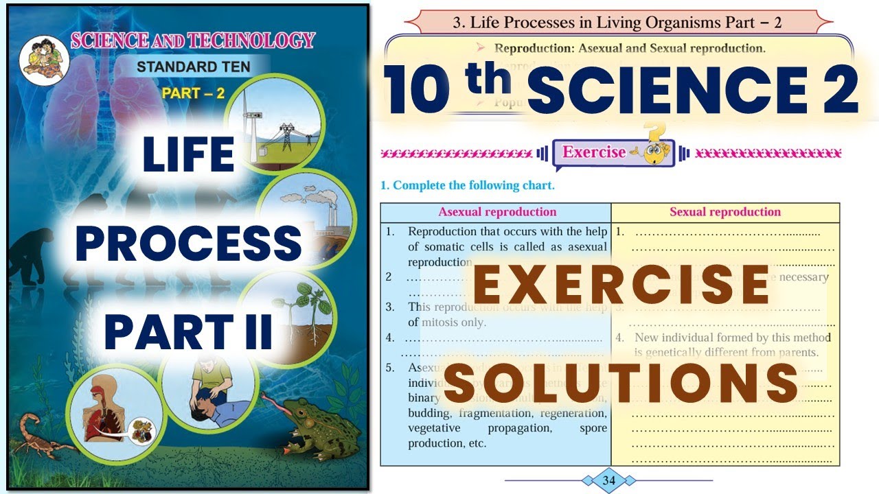 Class 10 Science 2 Chapter 3 Life processes - Part 2 Exercise Solutions ...
