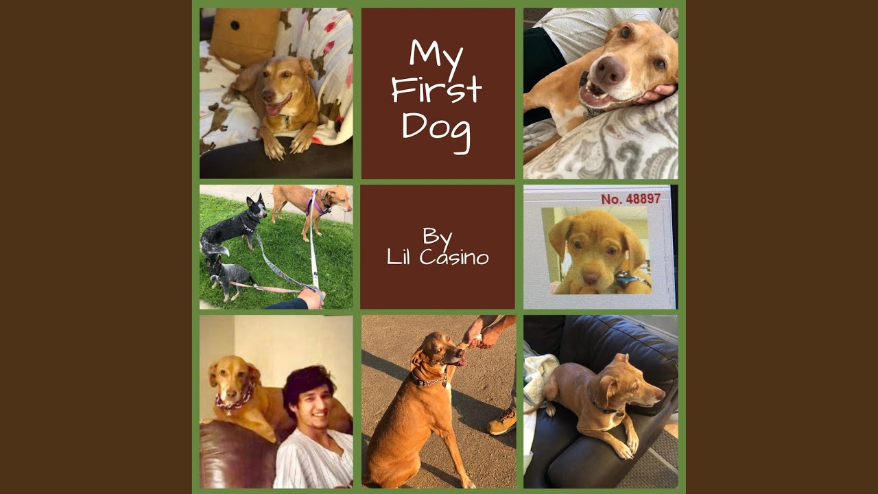 My First Dog - YouTube