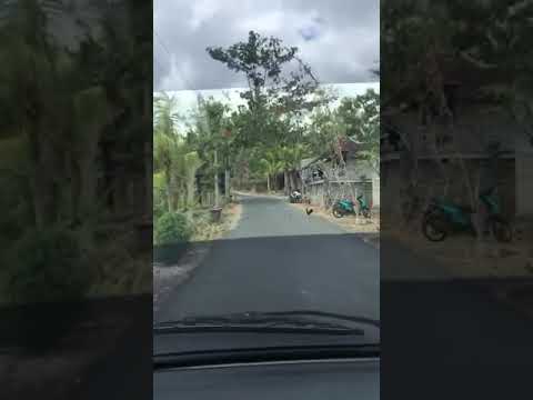 A day in Nusa Penida Island 🌴 What to do in Bali