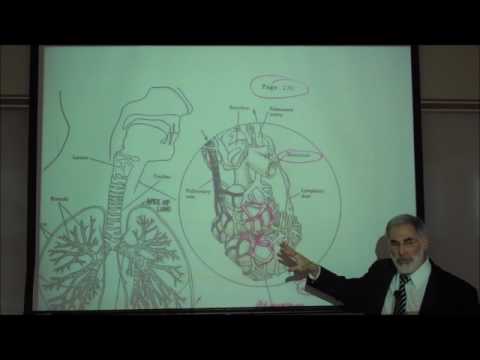 RESPIRATORY PHYSIOLOGY; INTRO & REVIEW OF FUNCTIONAL ANATOMY by Professor Fink