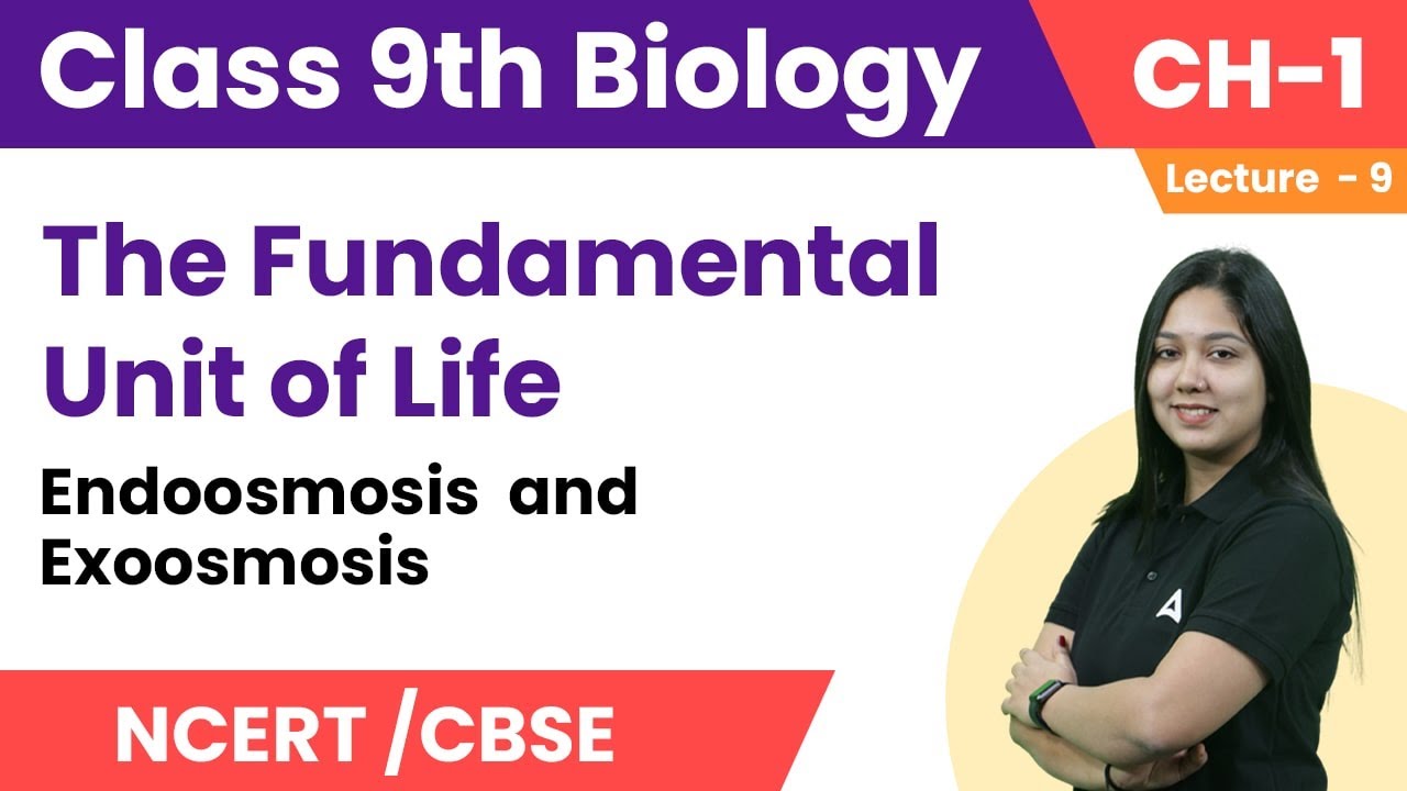Endosmosis and Exosmosis - The Fundamental Unit of Life | Class 9 Chapter 1 - YouTube