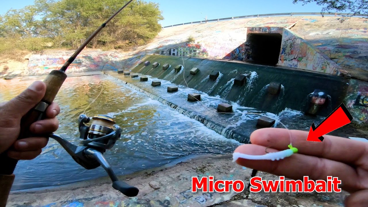 FISHING With The WORLDS SMALLEST PADDLE TAIL SWIMBAIT! - YouTube