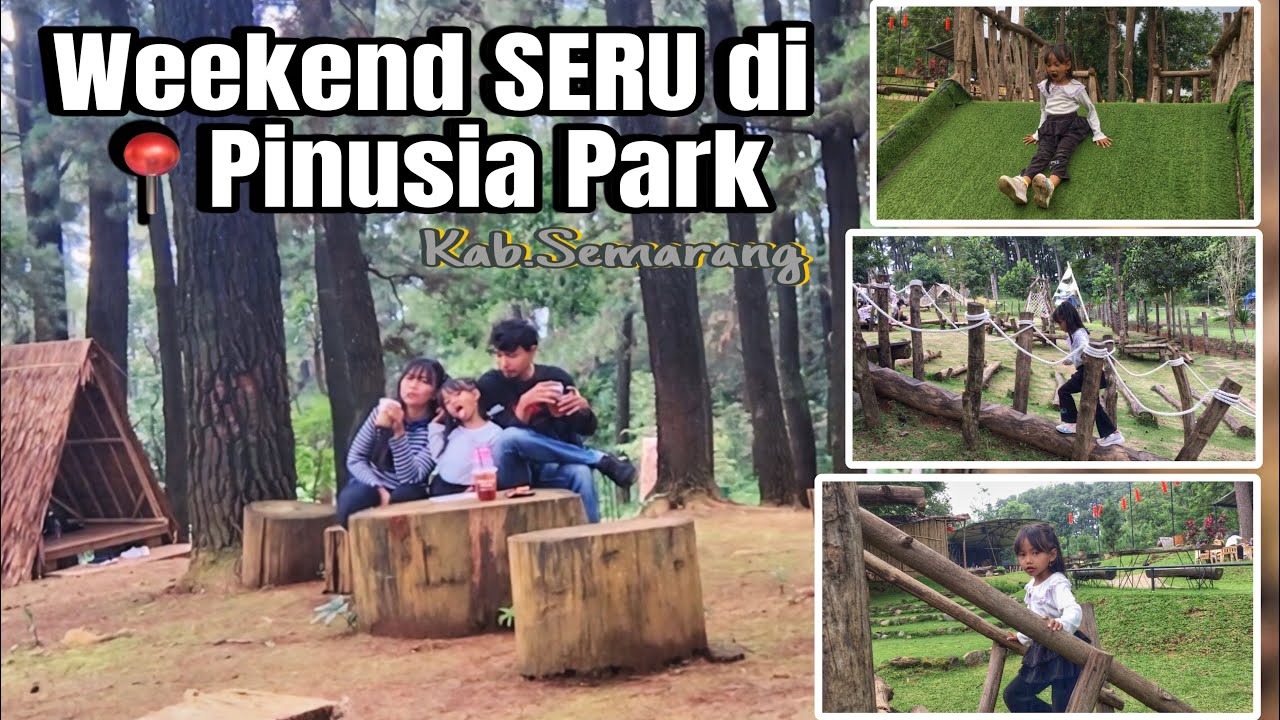 SEGER ! WISATA ALAM HUTAN PINUS "PINUSIA PARK" REKOMENDASI WISATA TOP ...