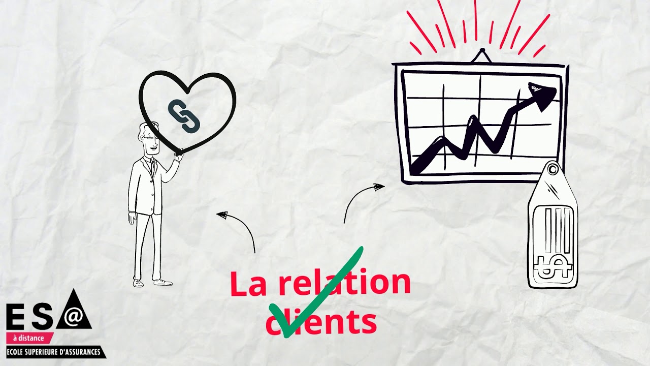 La relation clients dans le secteur de la Banque et de l'Assurance ...