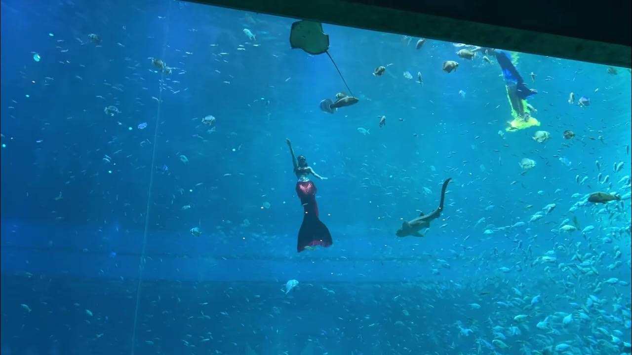 Vin Wonder mermaid show 3 - YouTube