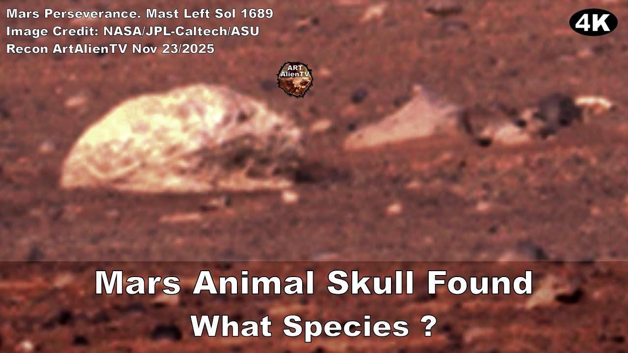 MARS Animal Skull Found. What Species is This ? ArtAlienTV 4K - YouTube
