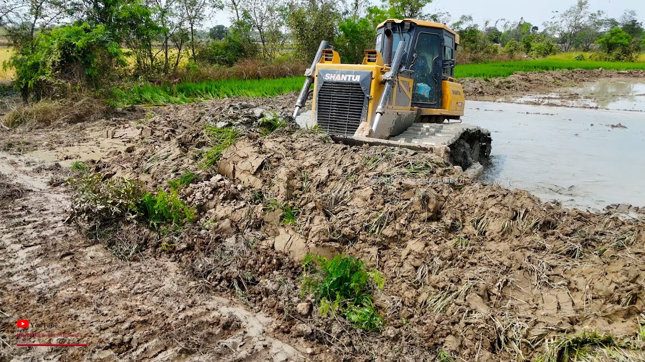AWESOME!! Technical Dozer Clearing Sun-Dried SoilsMud And Removing Mud On Soils With SHANTUI C2 ...