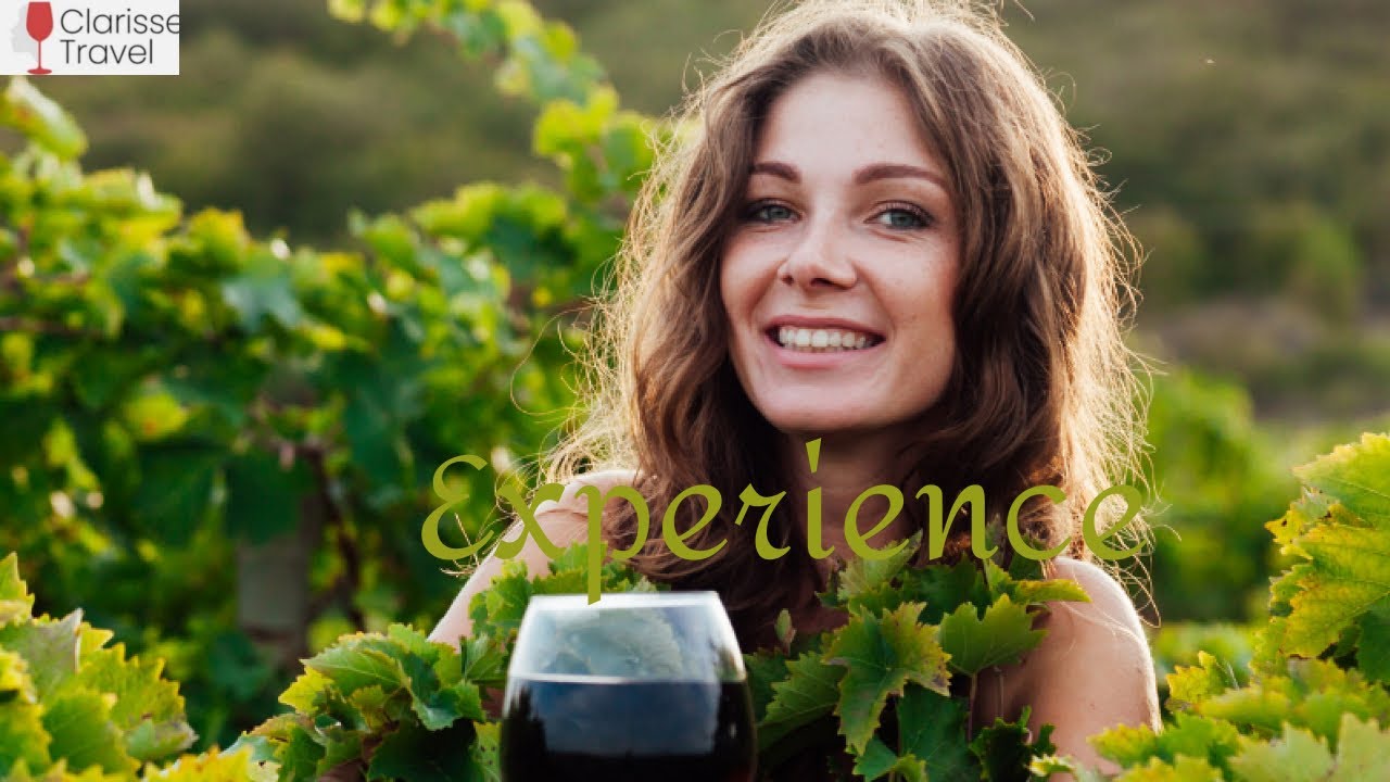 EXPLORE WINE TRAVEL EXPERIENCE THE JOURNEY DISCOVER MAGNIFICENT REGIONS ...