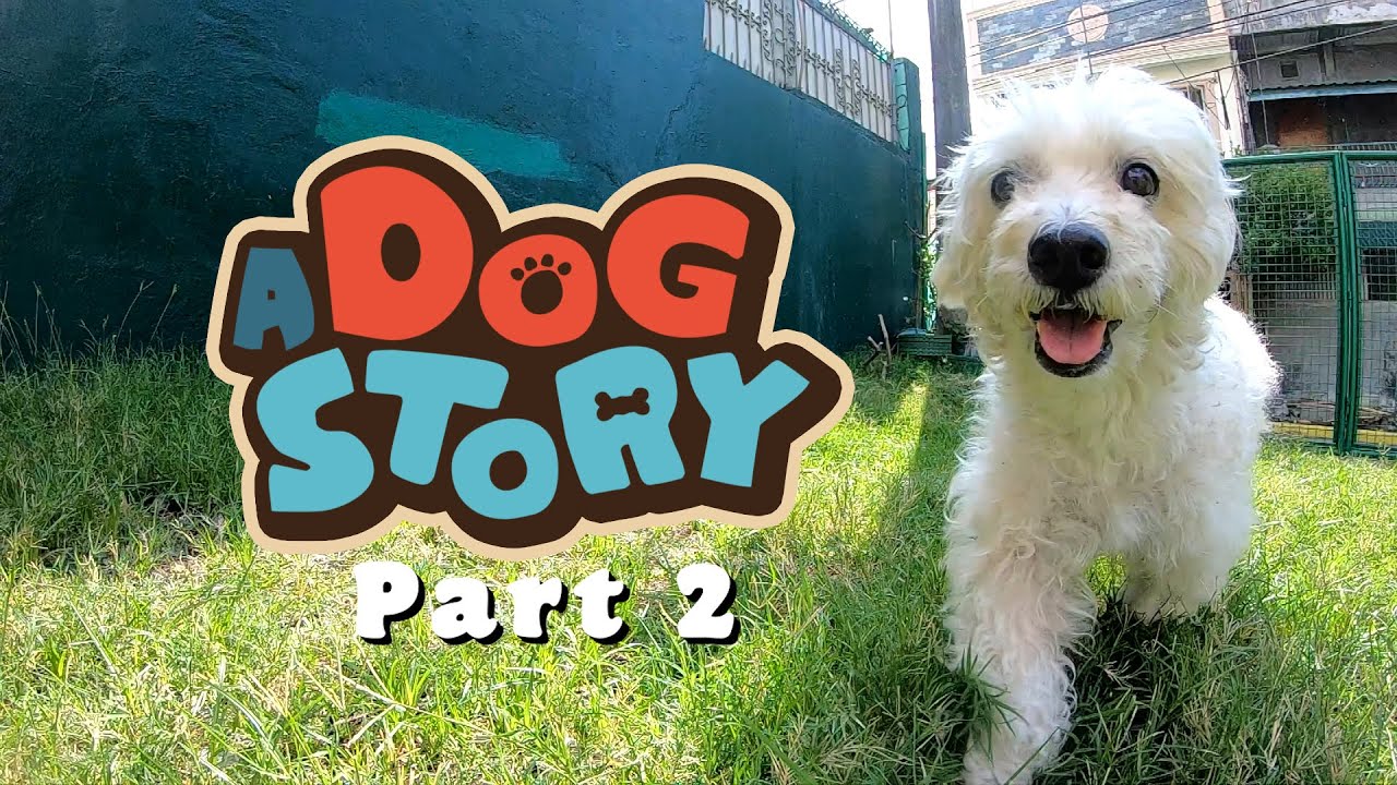 A DOG STORY PART 2 - YouTube