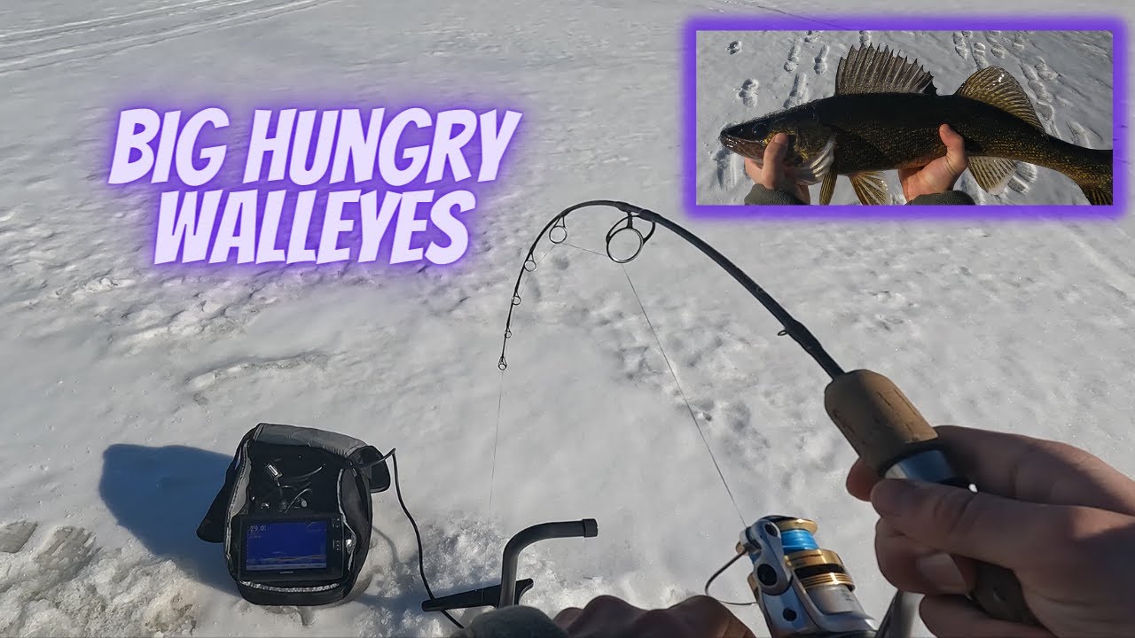 Ice fishing for big hungry Walleyes - YouTube