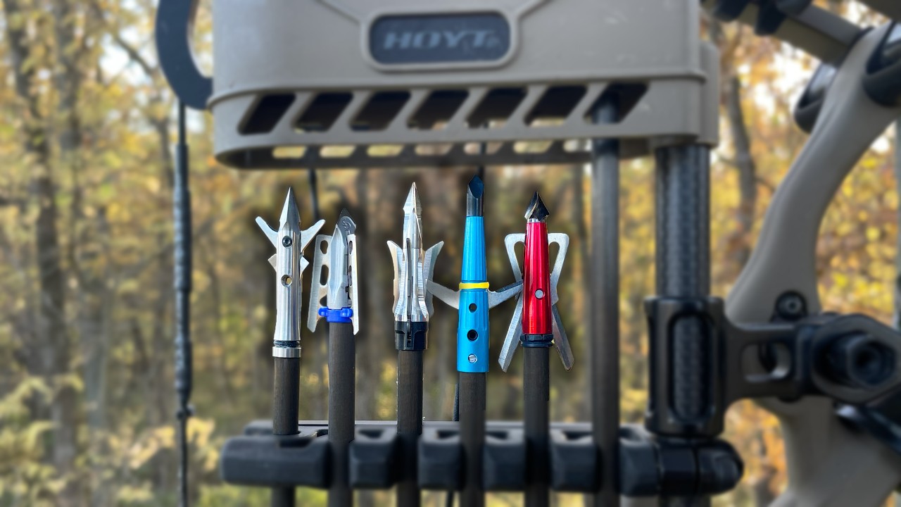 REAL WORLD BROADHEAD TEST (11 Deer Down!) - YouTube